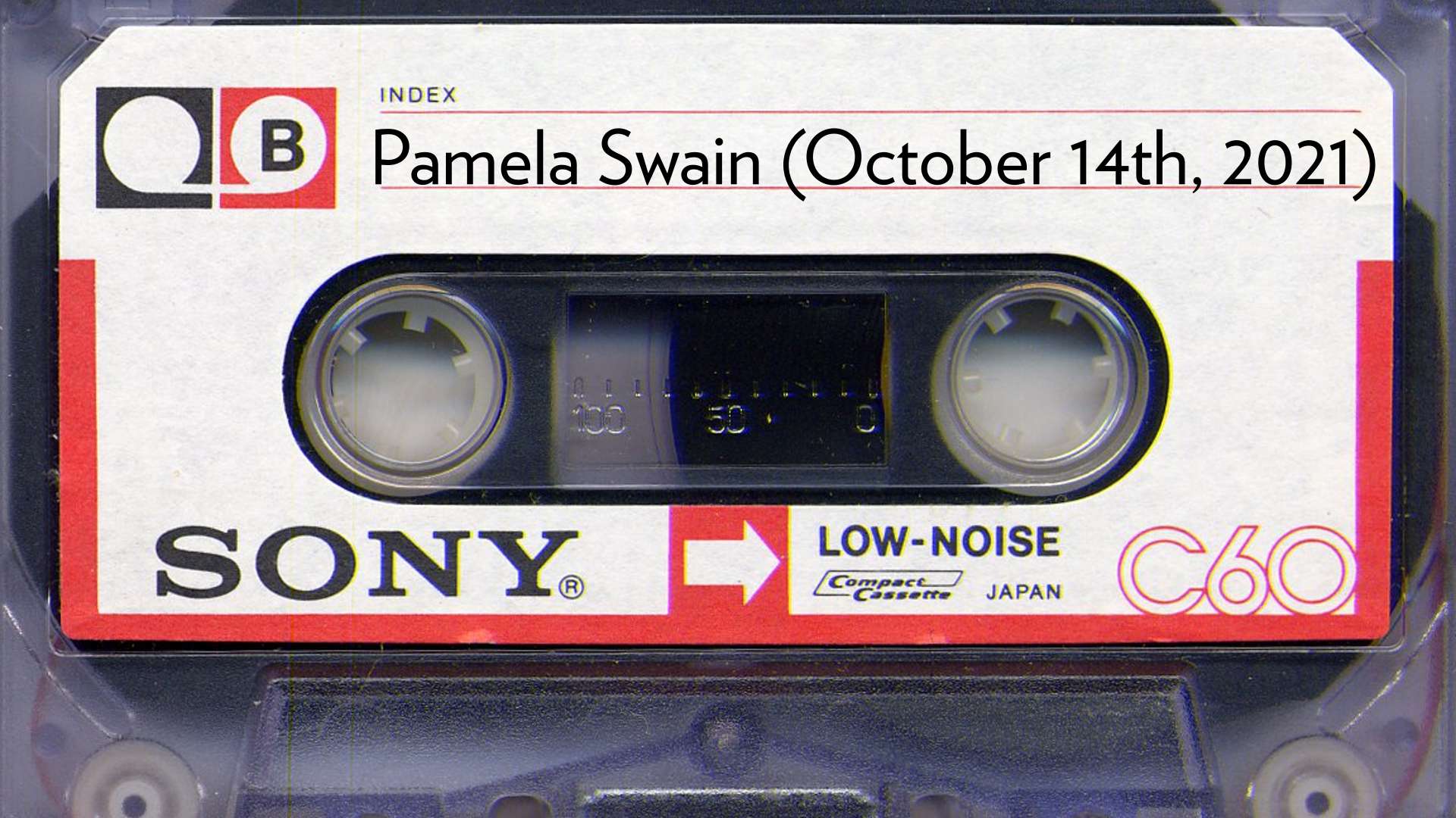 A Conversation with Pamela Swain – Mad at the Internet